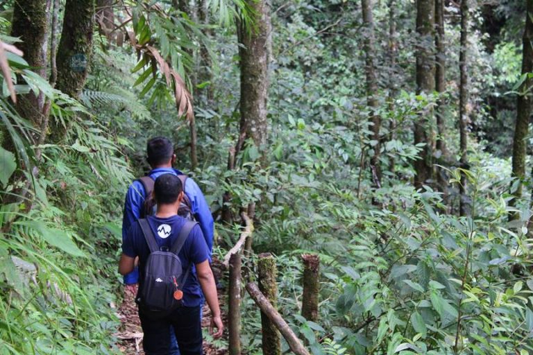 Contoh Teks Tour Guide Bahasa Dalam Inggris dan Artinya